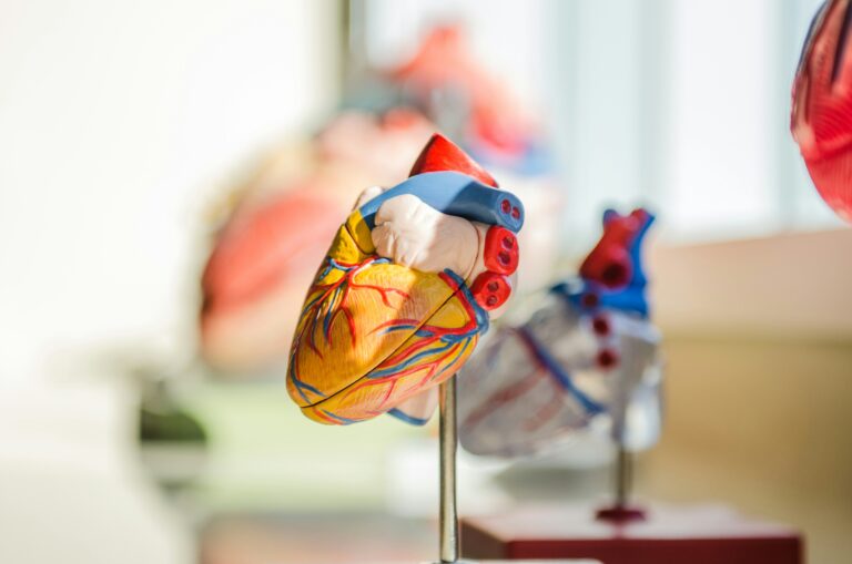 Left Side Heart Pain: Causes, Symptoms, and Treatment Options ...