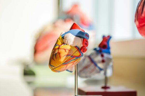 Left Side Heart Pain: Causes, Symptoms, and Treatment Options ...